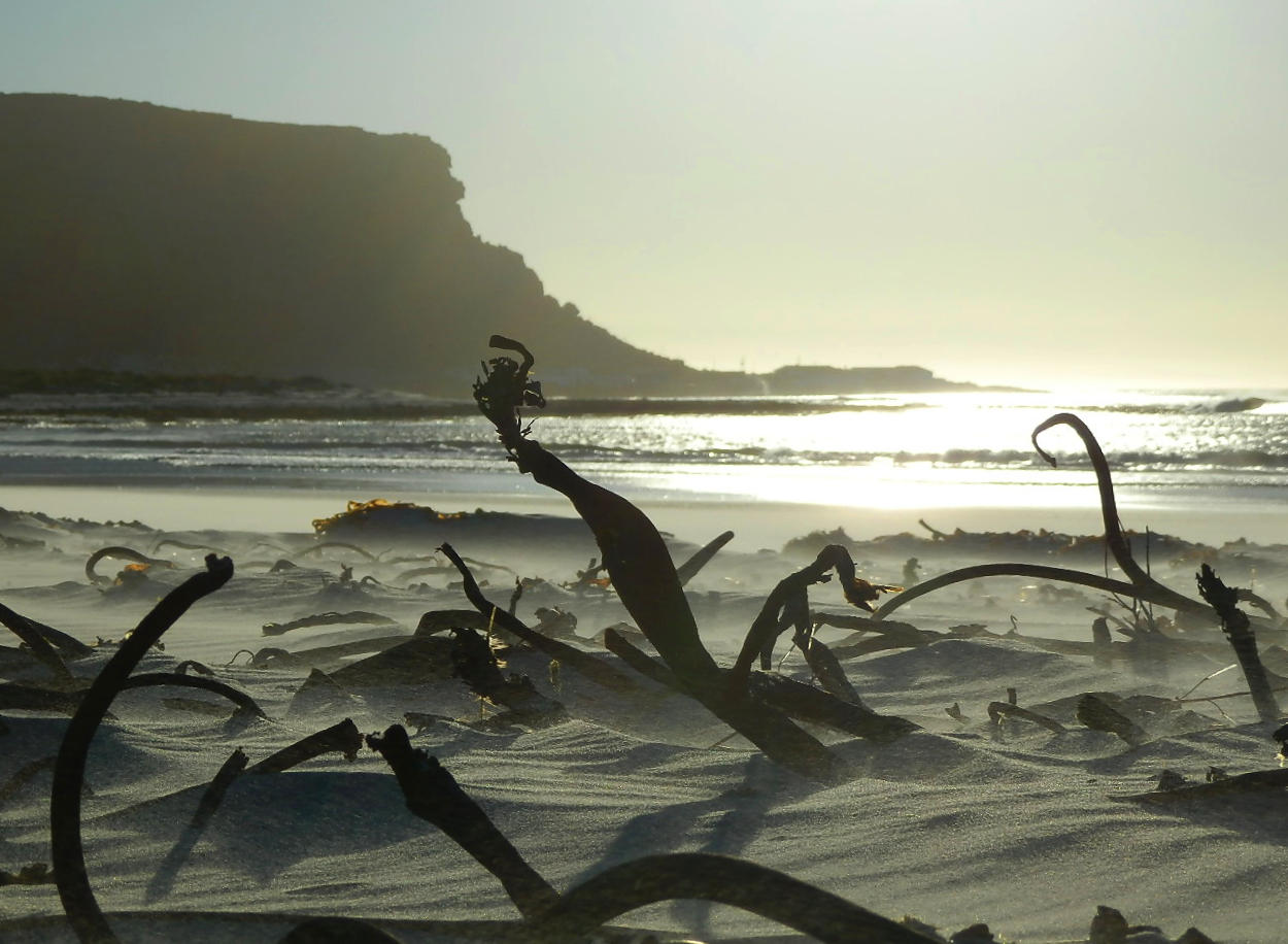 Ebb & Flow Self-catering Accomodation | Situated in Elands Bay, South ...